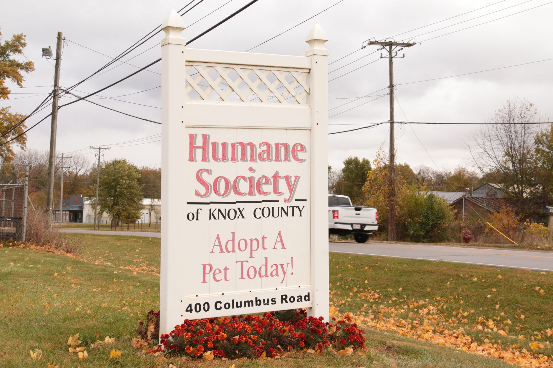 Open Source: What's happening at the cat shelter?