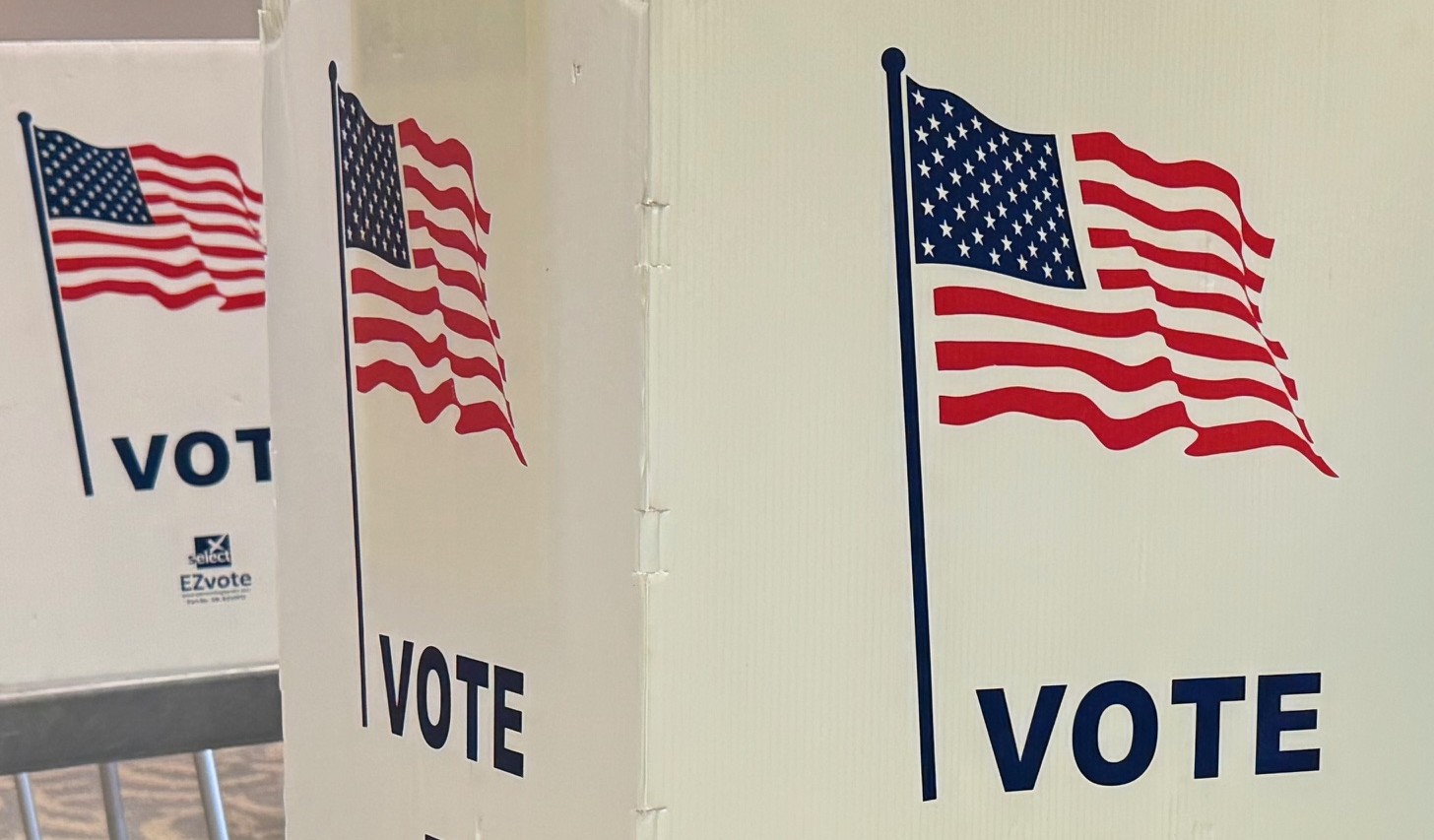 Open Source: How are write-in votes counted?