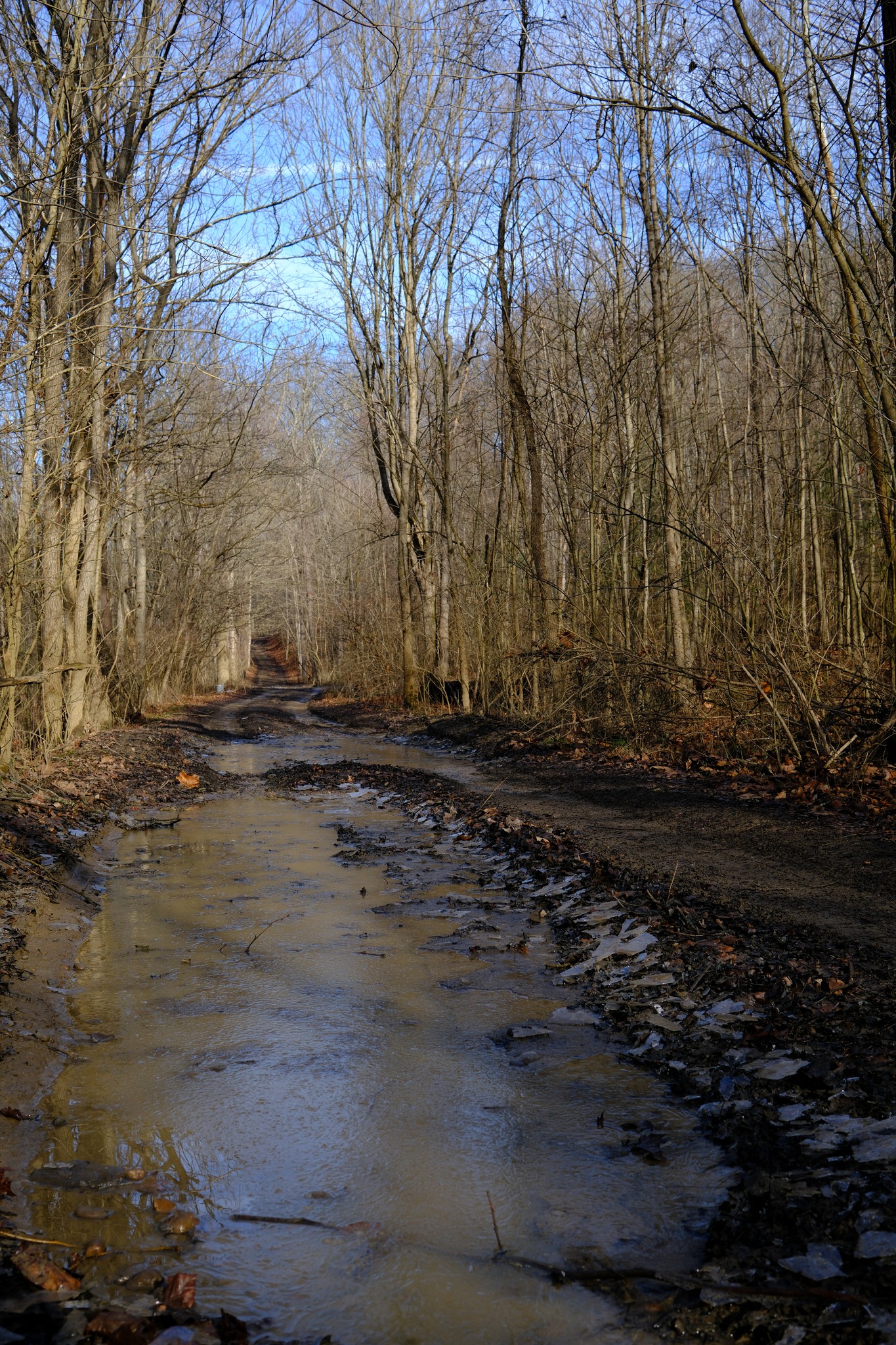 Request to vacate Bat Nest Road generates opposition